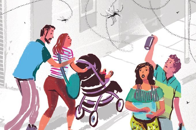 Zika: muito além da microcefalia | Sindicato dos Metalúrgicos de ...